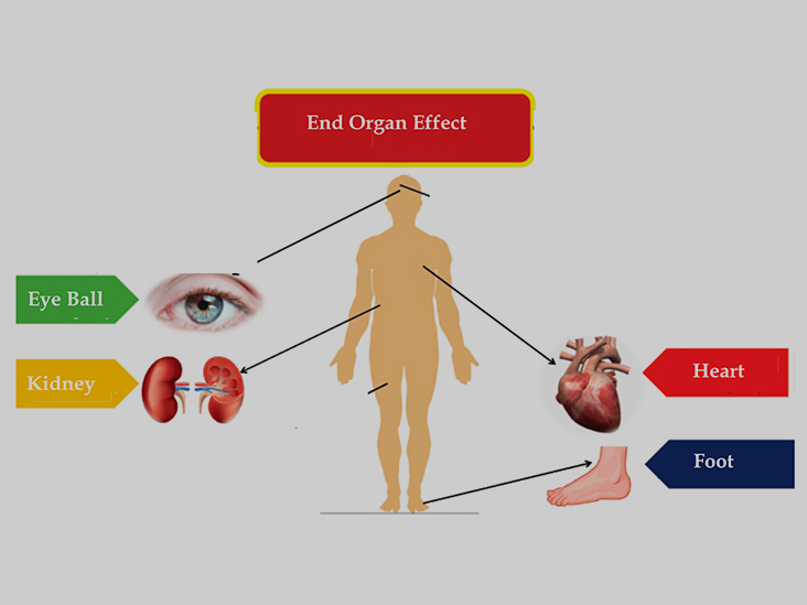 Integrated Health Care – The Concept Clinic